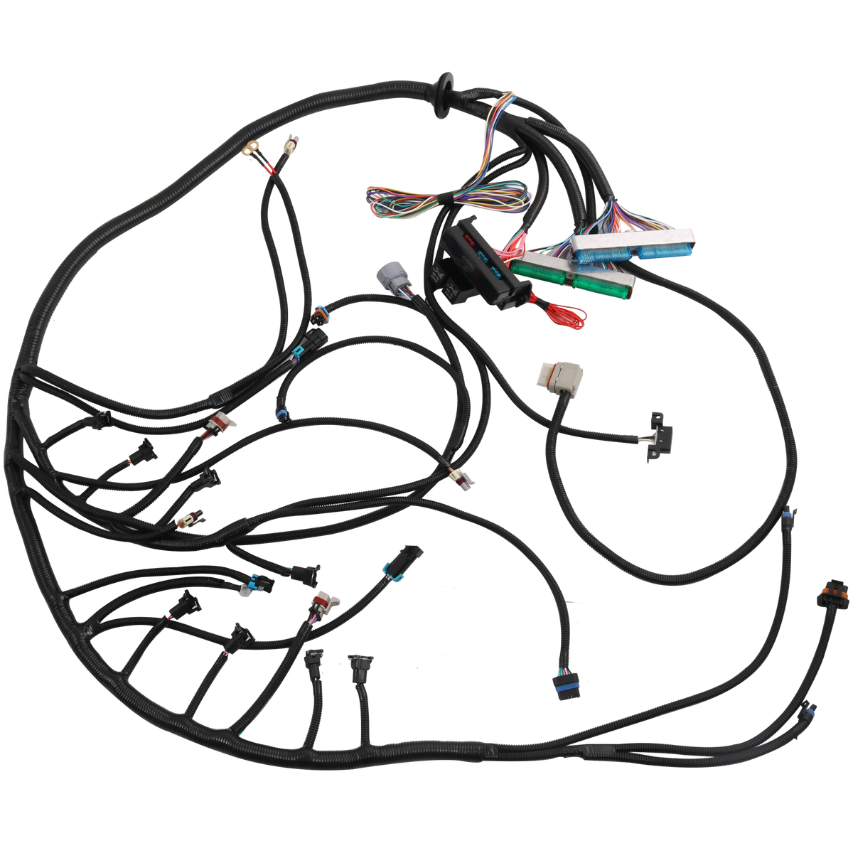 JDMSPEED LS Swap Standalone Wiring Harness For 97-04 LS1 Drive-By-Wire – JDMSPEED Motor