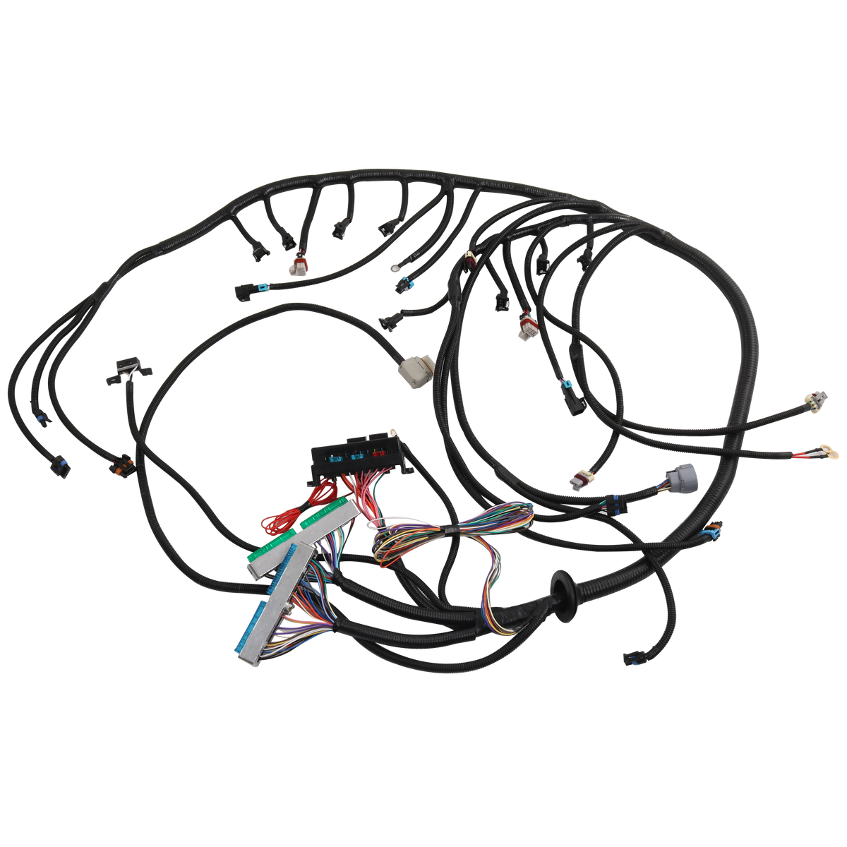 JDMSPEED LS Swap Standalone Wiring Harness For 97-04 LS1 Drive-By-Wire – JDMSPEED Motor