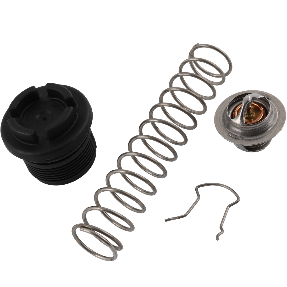 JDMSPEED Thermal Regulator Kit Spa Heater For Pentair and Sta-Rite ...