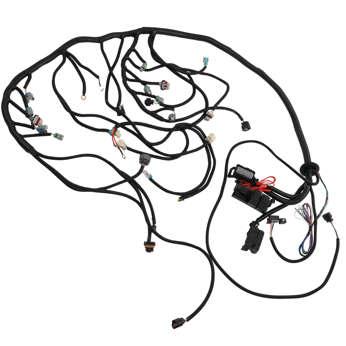 JDMSPEED Ls Standalone Wiring Harness For 6L80E/6L90E 58X DRIVE BY WIR ...